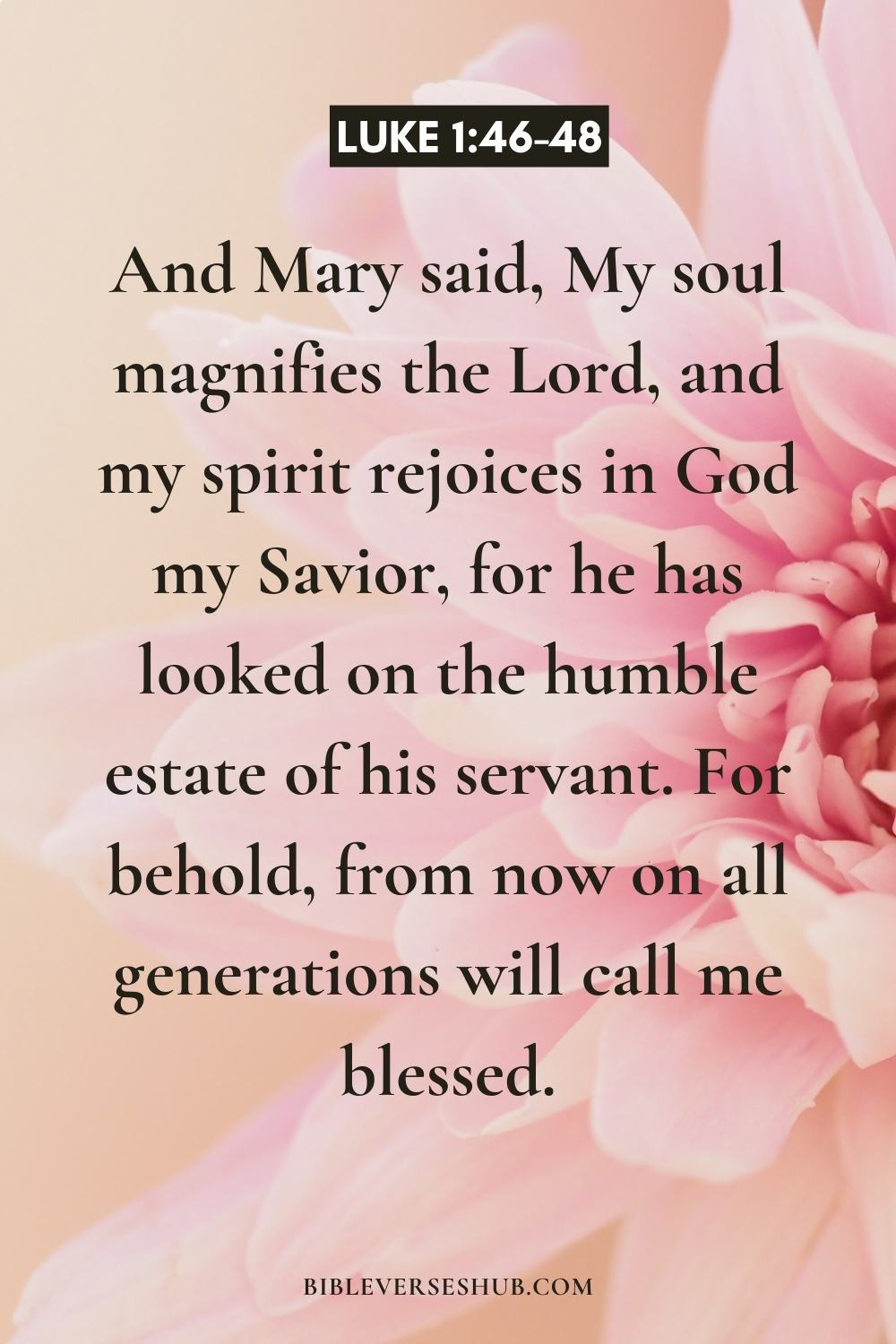 Bible Verses About Mothers